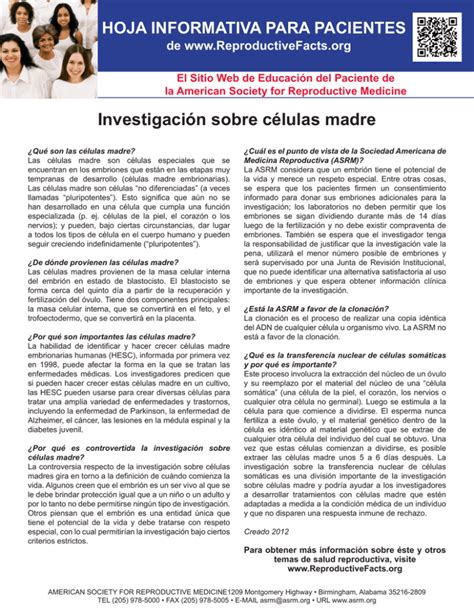 Investigaci N Sobre C Lulas Madre