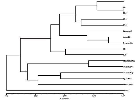 The Upgma Dendrogram Computed Using Genetic Distance Matrix Based On Download Scientific