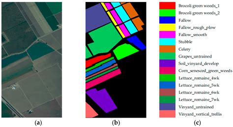 Remote Sensing Free Full Text Dual Branch Attention Assisted Cnn For Hyperspectral Image