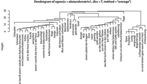 Dendrogram Of The Sorting Task For The Fourth Graders Download