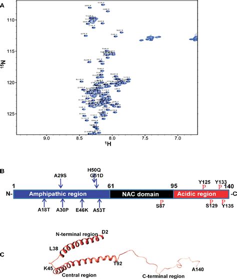 Figure 1 From Alpha Synuclein Structure Aggregation And Modulators Semantic Scholar