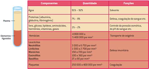 Composição Sanguínea Os Componentes Do Sangue Cola Da Web