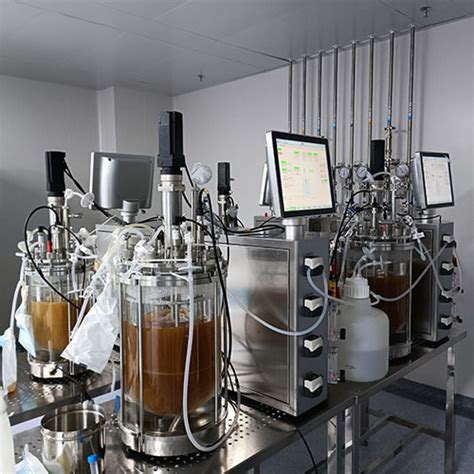 Lab Bioreactor Innovations For Optimal Research Ritai Bioreactor