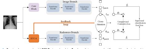 Figure 2 From Radiomics Guided Global Local Transformer For Weakly
