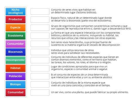 SAS Juego Une Las Parejas