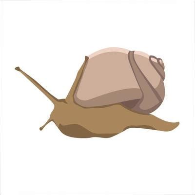 Snail Vector Art Icons And Graphics For Free Download