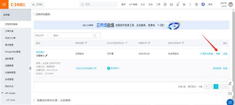 速成美站 续费指导 泛云科技
