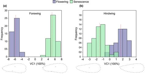 Linear Discriminant Analysis LDA Of The Change In Forewing And Download Scientific Diagram