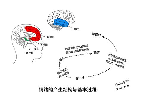 神经科医生手机必备图谱大全，赞！ 脑医汇