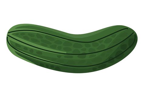 Fresh Cucumber Vegetable 10428200 Vector Art At Vecteezy