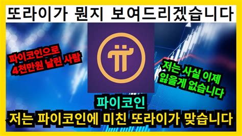파이코인 저는 파이코인에 미친 또라이가 맞습니다 Youtube