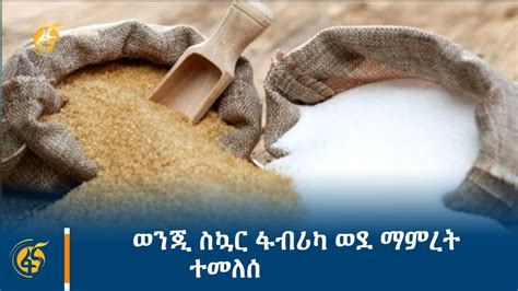 ወንጂ ስኳር ፋብሪካ ወደ ማምረት ተመለሰ Youtube