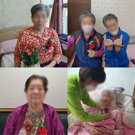 어버이날 카네이션 달아드리기 포토 갤러리 푸른실버타운