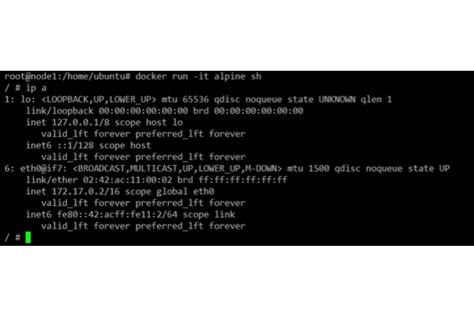 How Do I Connect A Docker Bridged Container To The Outside Of The Host