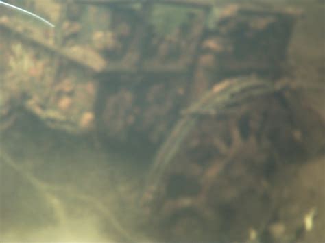 Lars Gyllenhaal Unidentified Submerged Objects In Norway