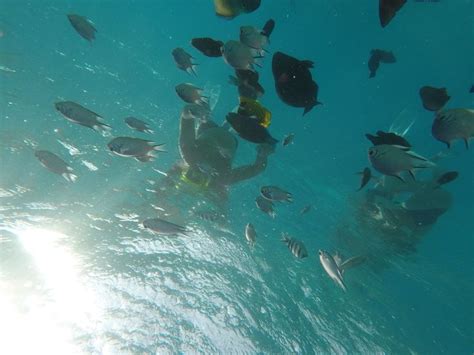 ну тип Ал Ну тип Алина Adlı Kullanıcının Доска Бабы Аллы Panosundaki Pin