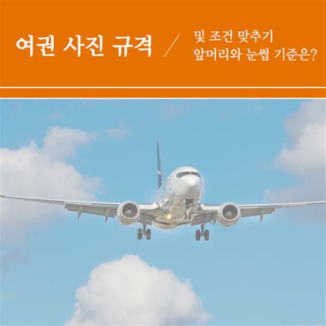 여권 사진 규격 및 조건 맞추기 앞머리와 눈썹 기준은 네이버 블로그