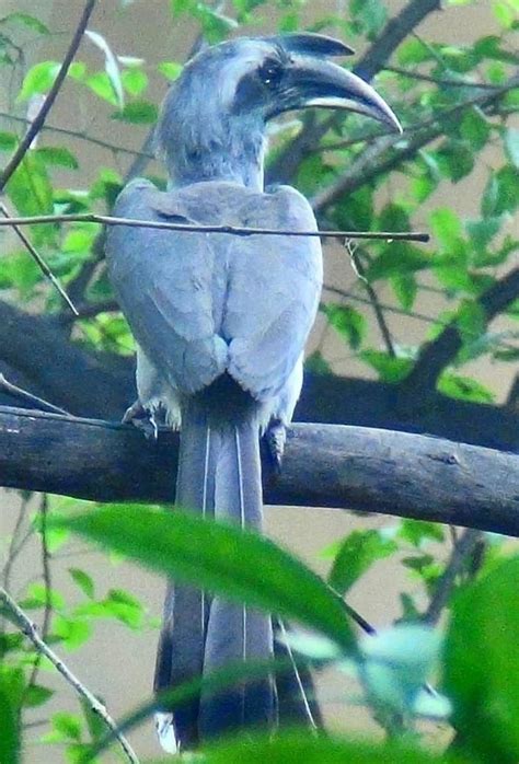 Tejas Bhalla On Linkedin As A Nature Enthusiast It Is Delightful To