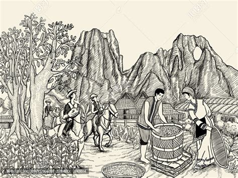 茶马古道插画