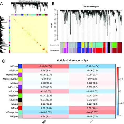 A Heat Map Of Gene Network Visualization The Darker The Red The