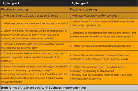 Agile Organization And Innovation