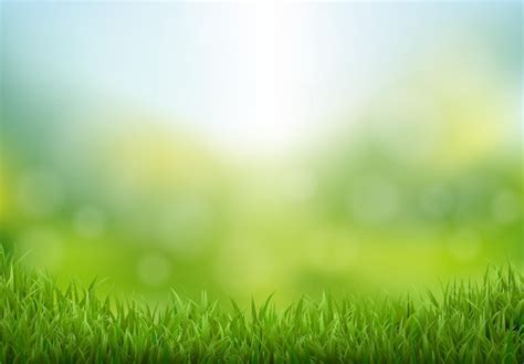 Premium Vector Nature Landscape With Grass Border