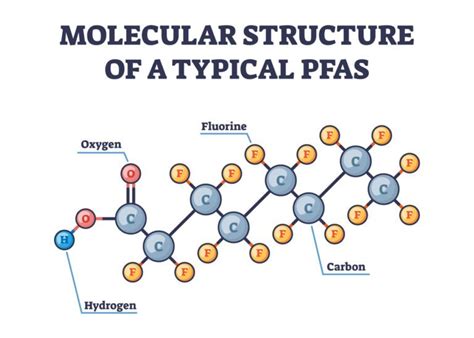 Echa Advances Pfas Regulation And Chemical Safety In March 2025 Meeting Ilt