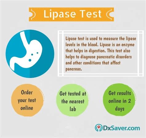 Get Lowest Lipase Test Cost At Book Online Now DxSaver Com
