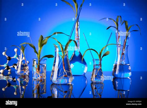 Biotechnology Theme Laboratory Concept Beakers And Test Tubes Blue