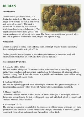 Pdf Tree X PNG Download PNGkit