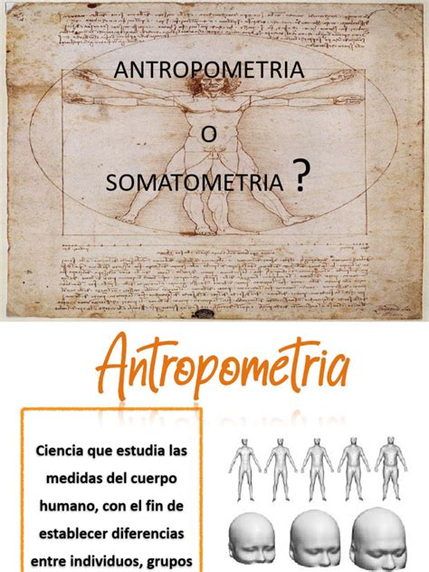 Antropometria A Pc 24 1pptx 1 Pdf Antropometría Índice De Masa Corporal