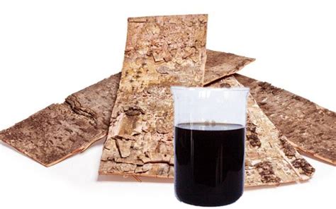 Эфирное масло березового дегтя