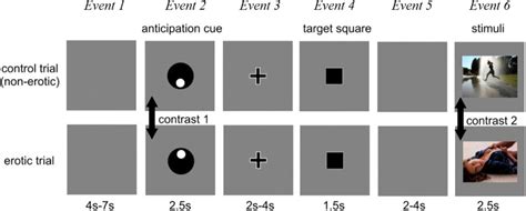 Neural And Behavioral Correlates Of Sexual Stimuli Anticipation Point To Addiction Like