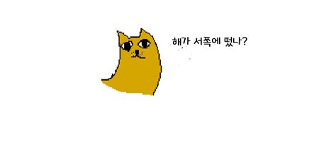 4가지 없는 시바견 짤 스티커 아갈캣 Story