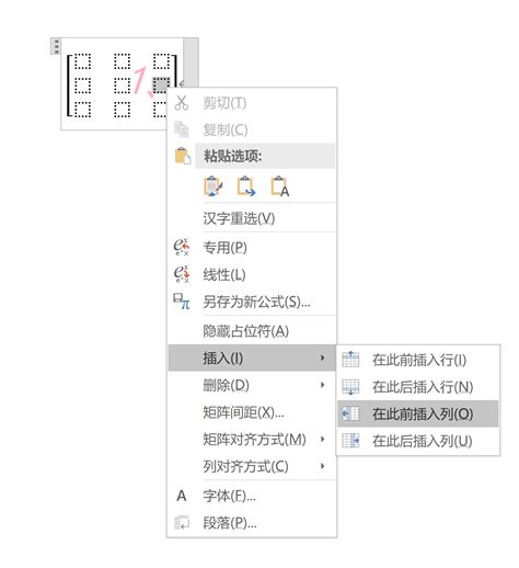 Word中的公式如何插入任意行列的矩阵 一杯明月 博客园