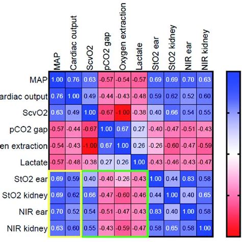 Heat Map Of The Correlation Analyses Of Macro And Microcirculatory
