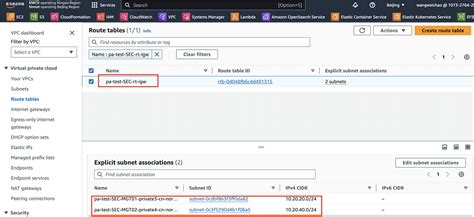 使用 Gateway Load Balancer 和 Palo Alto 防火墙实现集中的网络流量深度检测丨use Gateway Load Balancer And Palo Alto
