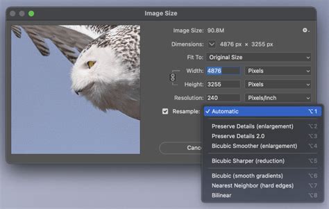 Ways To Scale An Image In Photoshop Detailed Guides