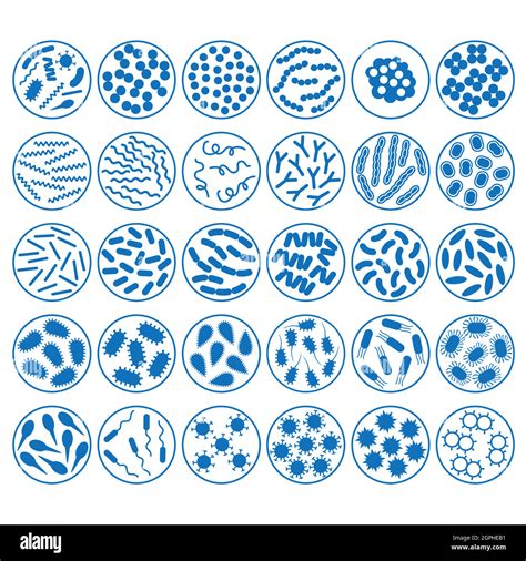 Vector Bacteria And Virus Pattern Stock Vector Image And Art Alamy Vector Bacteria And Virus Pattern Stock Vector Image And Art Alamy