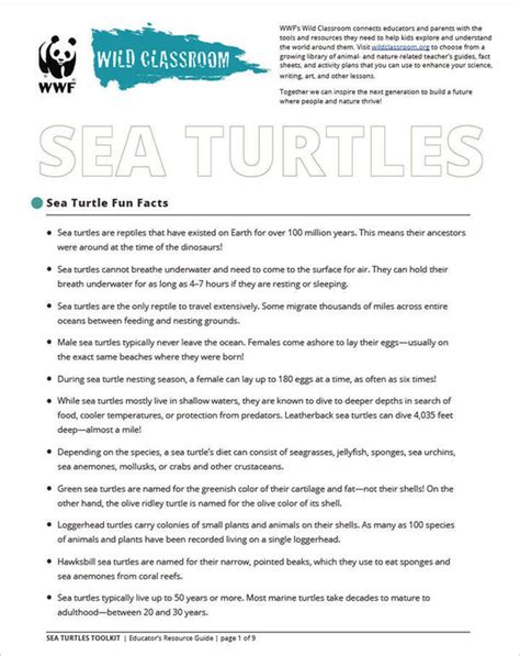 Teaching Tools About Sea Turtles And Oceans Educators Toolkits WWF