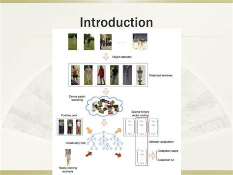 Ppt Detection By Detections Non Parametric Detector Adaptation For A Video Powerpoint