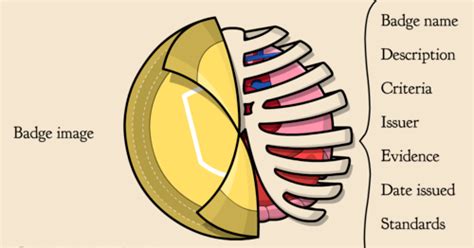 Understand Badge Metadata