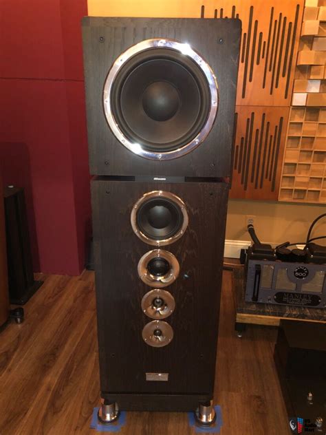 Dynaudio Consequence Ultimate Edition Gorgeous Wenge Satin Finish