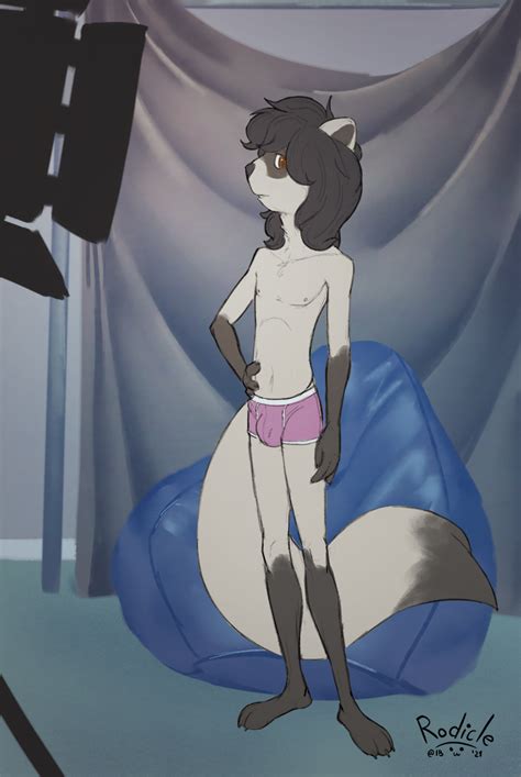 Rule 34 2021 Bean Bag Black Footed Ferret Black Body Black Fur Boxer