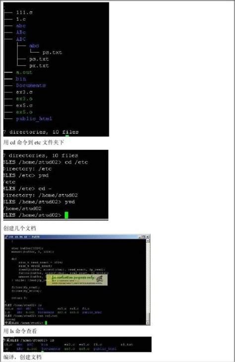 文件管理实验报告（八篇） 范文118