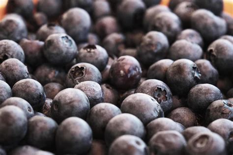 Fresh Blue Berries Texture And Pattern Ripe Purple Blueberry On The