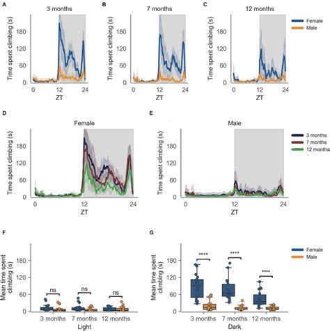 Time Spent Climbing By Mice During Dark Phase Varies According To Sex Download Scientific