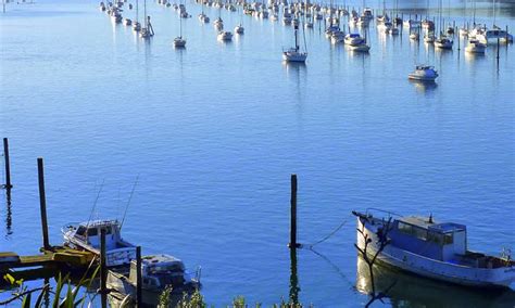 Mandate Confirmed For Mokai Patea Talks Waatea News Māori Radio Station