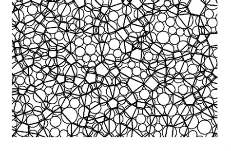 Figure 3 From Fundamental Structural Characteristics Of Planar Granular Assemblies Self