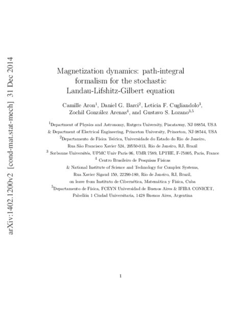 Pdf Magnetization Dynamics Path Integral Formalism For The